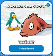 Fishing Area | Club Penguin Legacy Wiki | Fandom