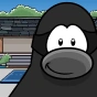 Ninja | Club Penguin Legacy Wiki | Fandom