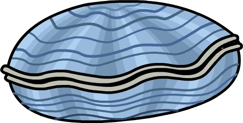 Clam | Club Penguin Legacy Wiki | Fandom