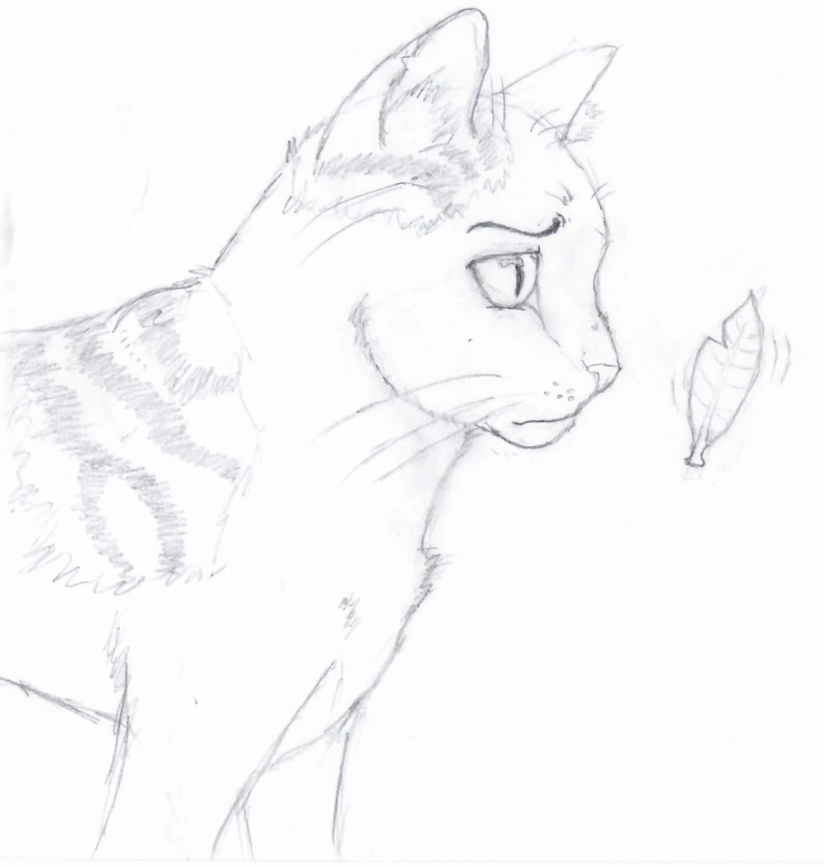 Dux | TestsRoleplay Wiki | Fandom