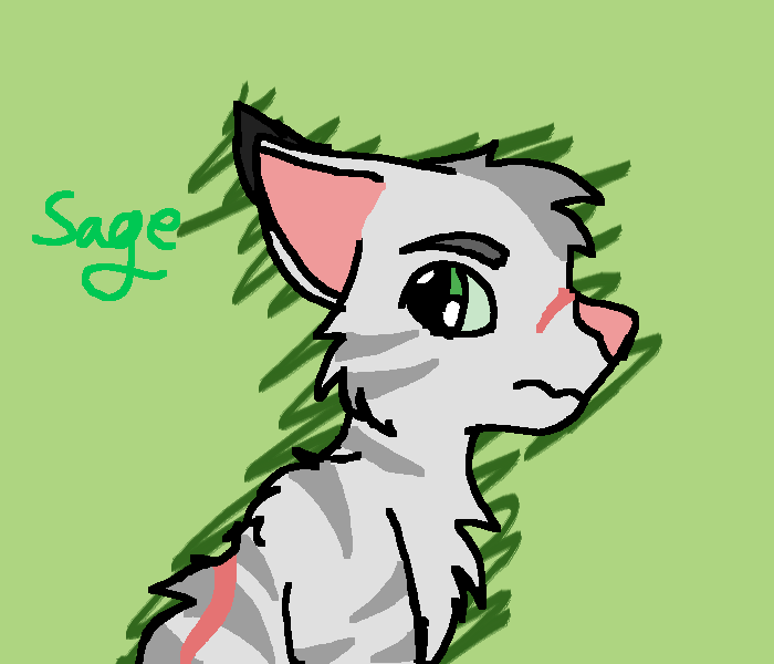 Sage | TestsRoleplay Wiki | Fandom