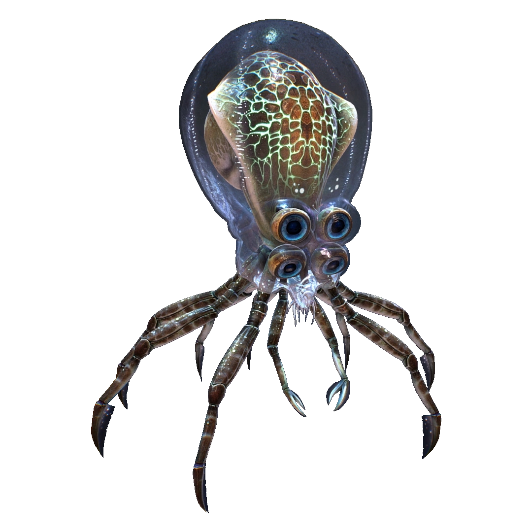 Htula | Wikitunia | Fandom