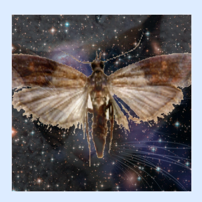 That's Everything! | Tetra Game Wiki | Fandom