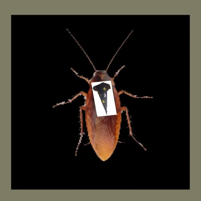 I made the bug disappear! | Tetra Game Wiki | Fandom