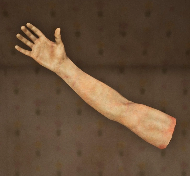 Severed Arm | The Texas Chainsaw Massacre Wiki | Fandom