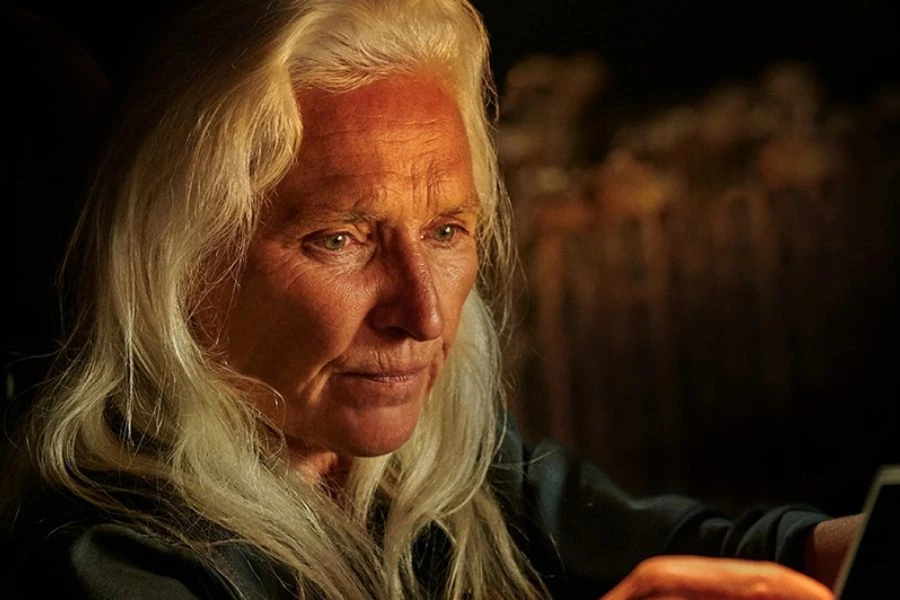 Blog:Sally Hardesty/Netflix Timeline | The Texas Chainsaw Massacre Wiki ...