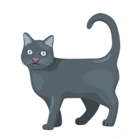 Cat Blob | Text Blob Wiki | Fandom