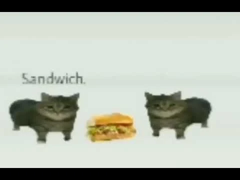 this is a sandwich (meme) | Texture Wiki | Fandom