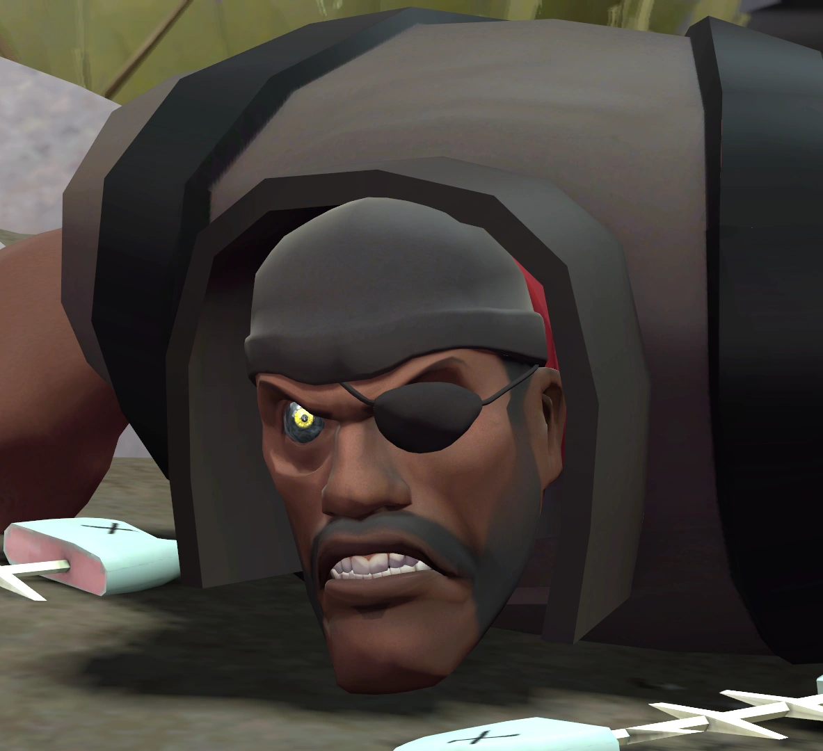 Demoturtle | TF2 FreakShow Universe Wiki | Fandom