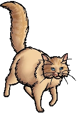 Cloverpaw | The Four Clans RP Wiki | Fandom