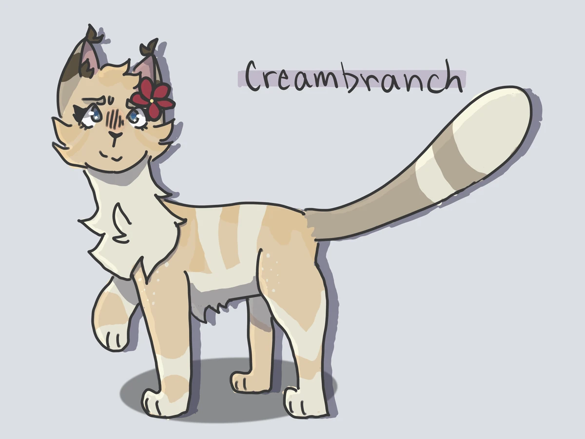 Creamstar (WC) | The Four Clans RP Wiki | Fandom