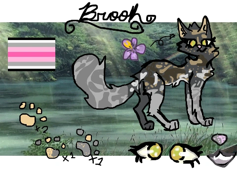 Brookkit (WC) | The Four Clans RP Wiki | Fandom
