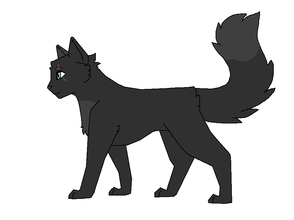 Slash | The Four Clans RP Wiki | Fandom