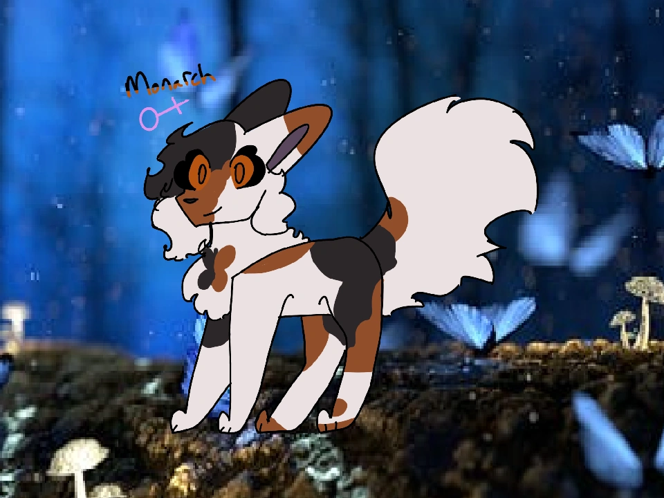 Monarchflutter | The Four Clans RP Wiki | Fandom
