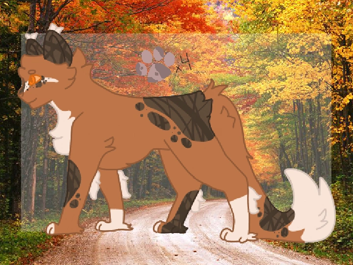 Cardinalpaw | The Four Clans RP Wiki | Fandom