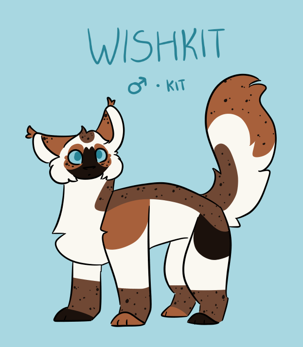 Wishkit | The Four Clans RP Wiki | Fandom