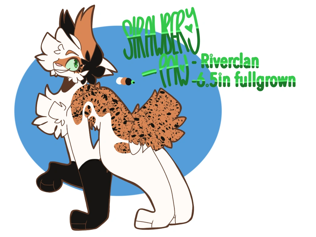 Strawberrysun | The Four Clans RP Wiki | Fandom