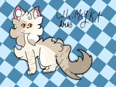Whimsykit | The Four Clans RP Wiki | Fandom