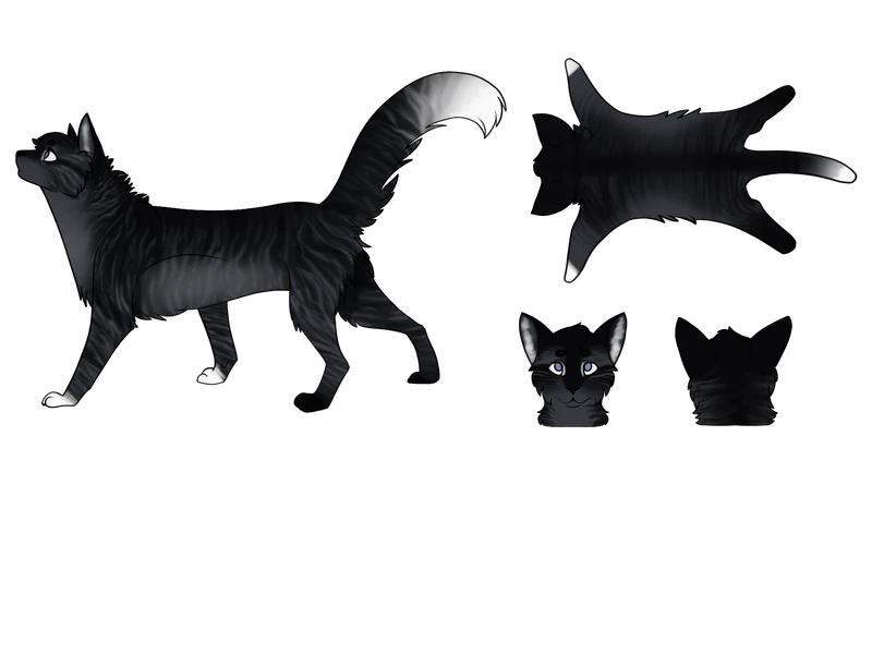 Ravengale | The Four Clans RP Wiki | Fandom