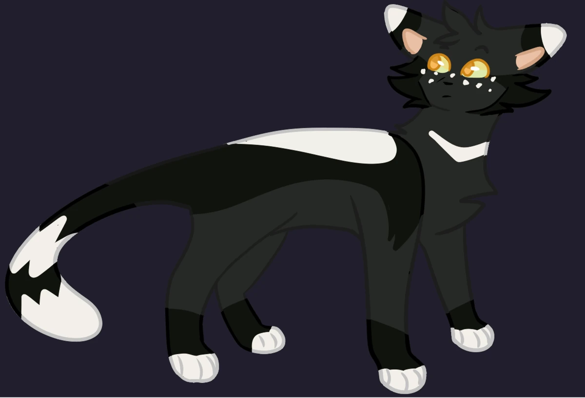 Snowfall | The Four Clans RP Wiki | Fandom