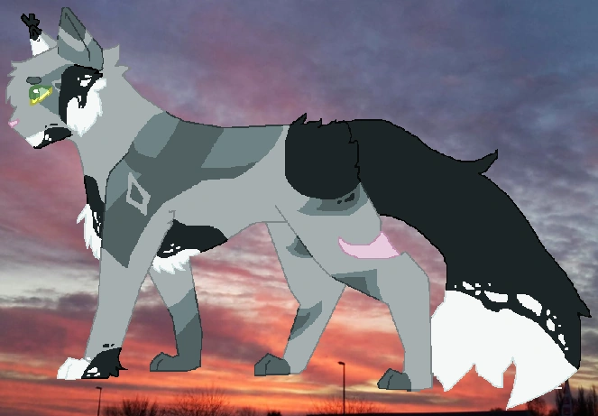 Frond | The Four Clans RP Wiki | Fandom