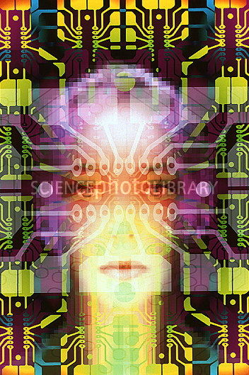 Nightfall | Transformers Universe MUX | Fandom