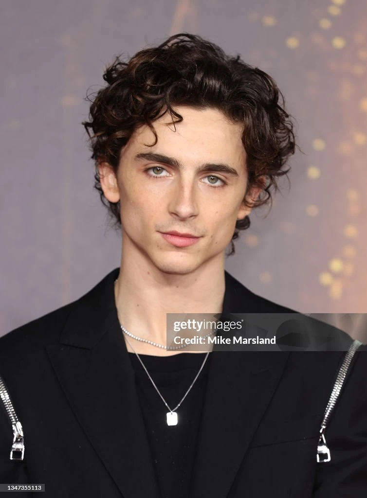 Timothée Chalamet | Wiki TGD Universe | Fandom