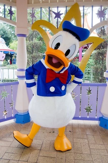 Donald Duck | TGIF Wiki | Fandom