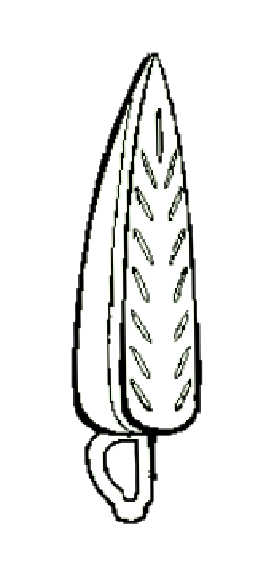 Ironce | The Genesis Project Official Wiki | Fandom