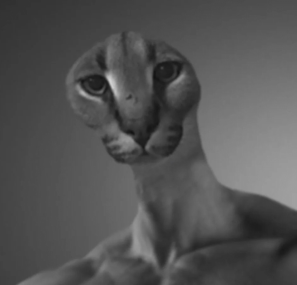 Floppa (RP) | The Galactic Republic Discord Server Wiki | Fandom