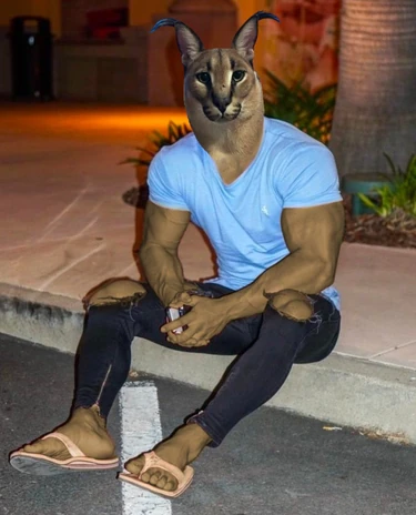 Floppa (RP) | The Galactic Republic Discord Server Wiki | Fandom