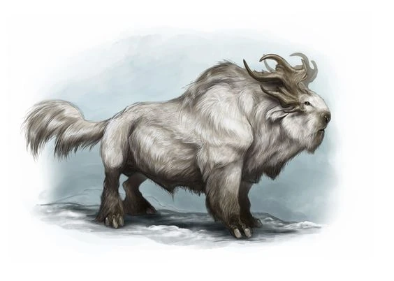 Morae | Thaelis-Y'Arda Wiki | Fandom