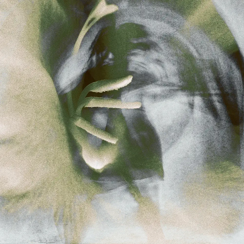 Tokyo Train | Tpop Wiki | Fandom