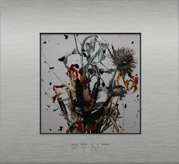 Pynt | Tpop Wiki | Fandom