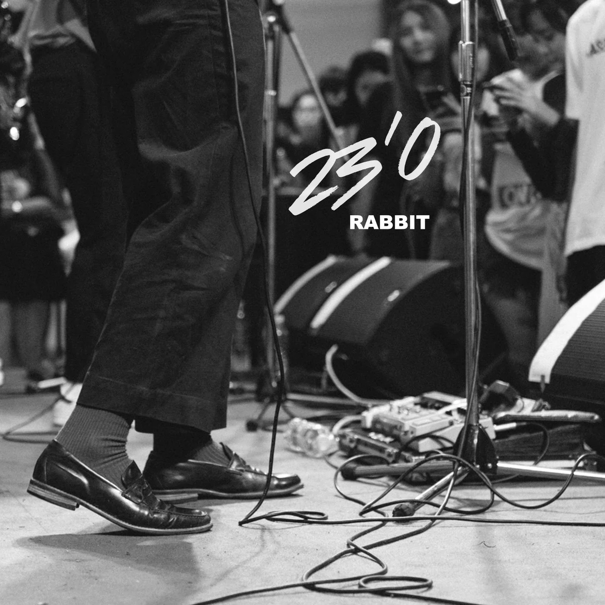 Rabbit | Tpop Wiki | Fandom