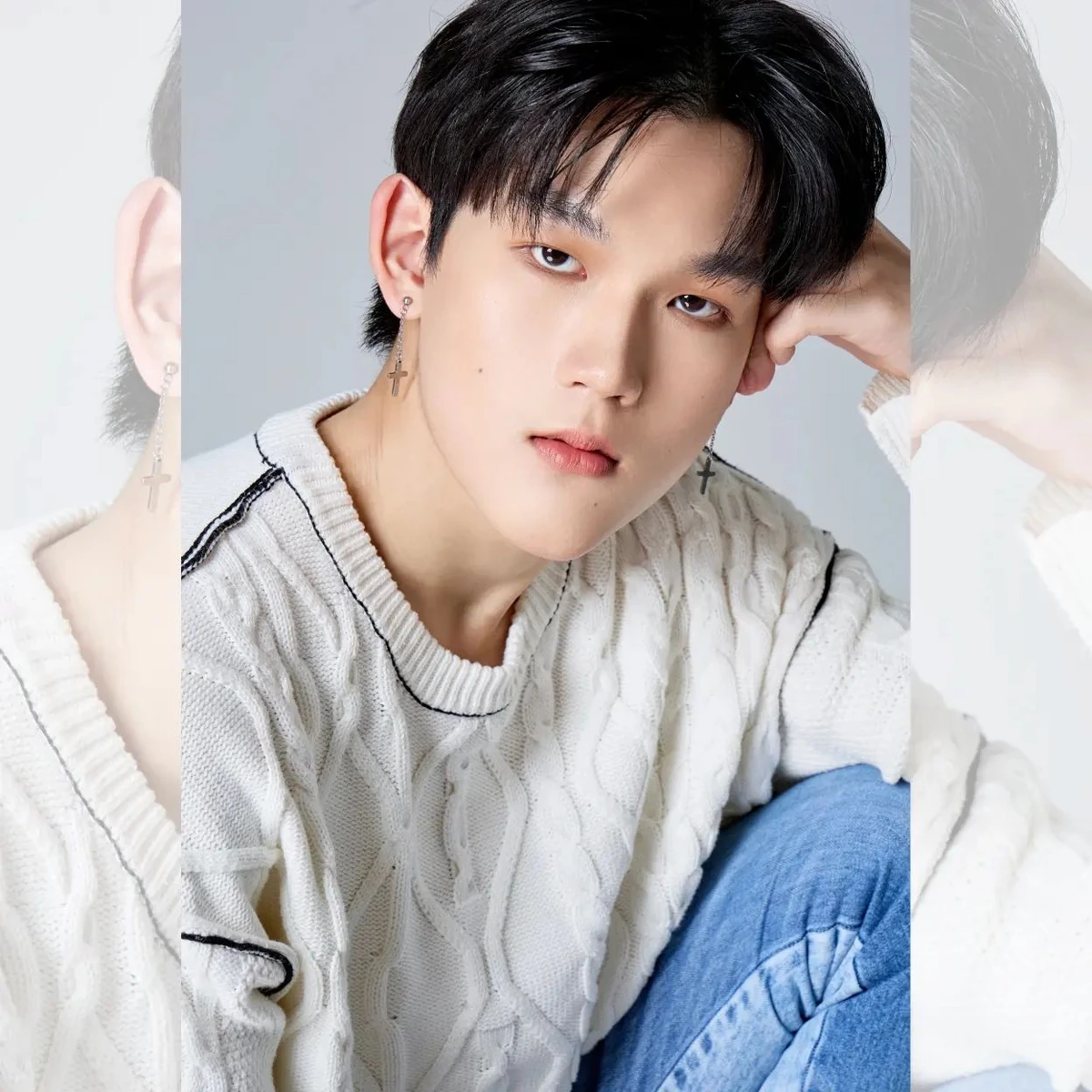 Moth | Tpop Wiki | Fandom