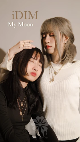 IDIM Project | Tpop Wiki | Fandom