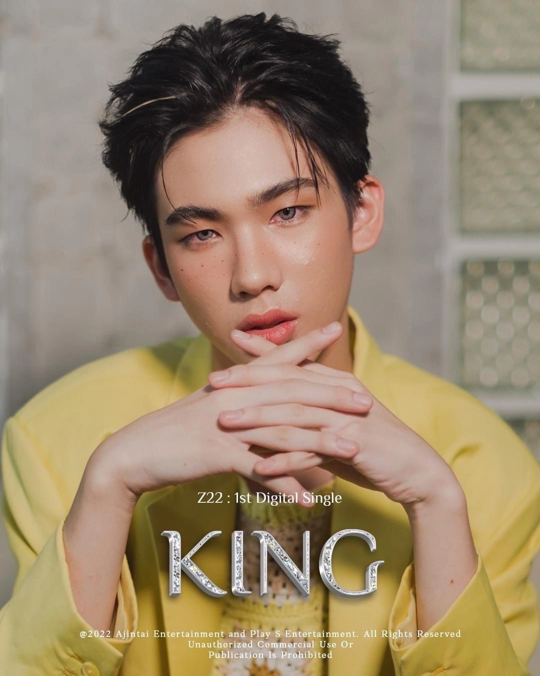 Euro (Z22) | Tpop Wiki | Fandom