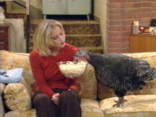 A Bundy Thanksgiving | Thanksgiving Specials Wiki | Fandom