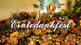 Erntedankfest | Thanksgiving Specials Wiki | Fandom