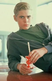 Ponyboy Curtis | That Was Then, This Is Now Wiki | Fandom