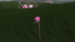Player | Thatgamecompany Wiki | Fandom