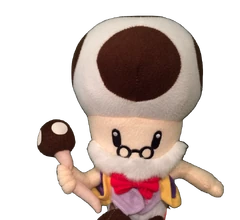 Toadsworth | ThatMarioGuy Wiki | Fandom