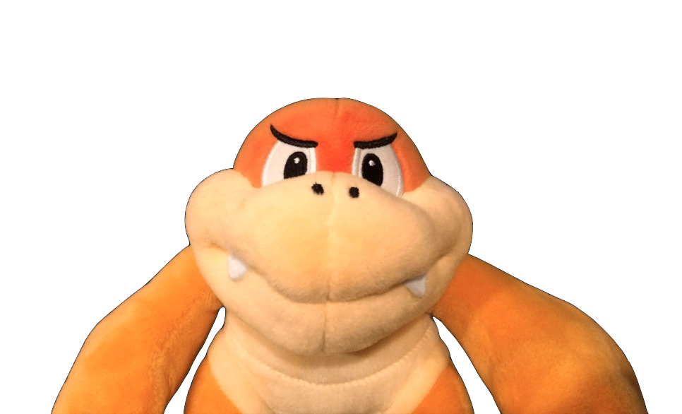 Boom Boom | ThatMarioGuy Wiki | Fandom