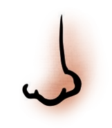 Nacha Mikaelys/Asset Gallery | That's not my Neighbor Wiki | Fandom