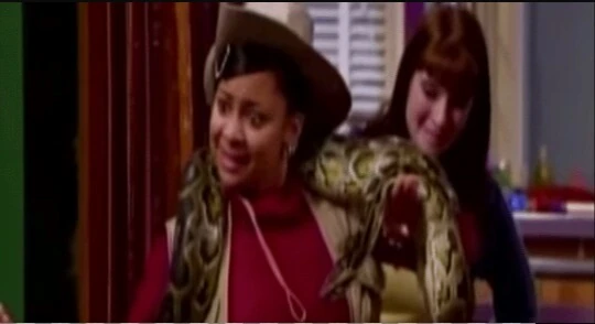 That's So Animal Birthday Party | That's So Raven Fanon. Wikia | Fandom