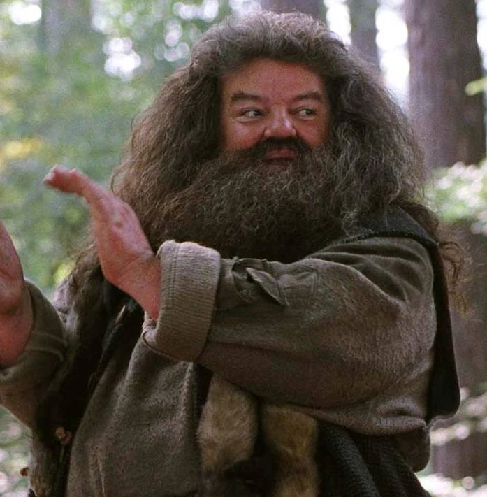 Rubeus Hagrid | Thatsacharacterofmyuniverseb16 Wiki | Fandom