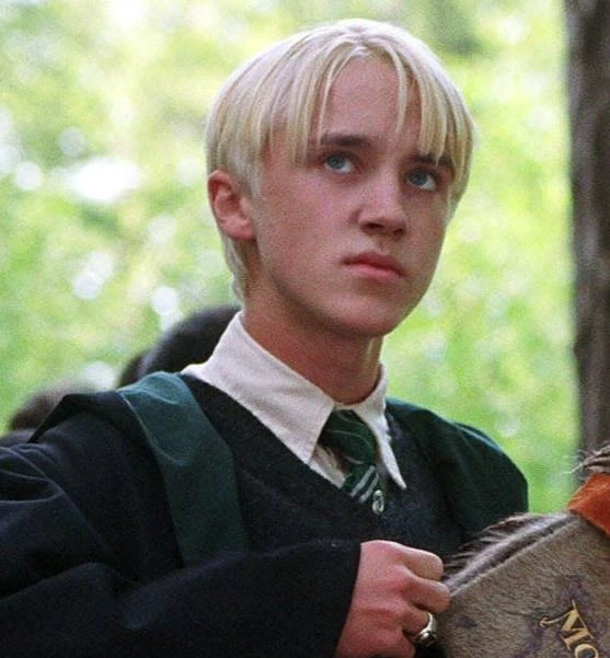 Draco Malfoy | Thatsacharacterofmyuniverseb16 Wiki | Fandom