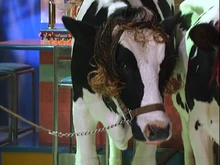 Cow Raven and Cow Chelsea | That's So Raven wiki | Fandom