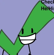 Checks | The 100 Character Object Show Wiki | Fandom